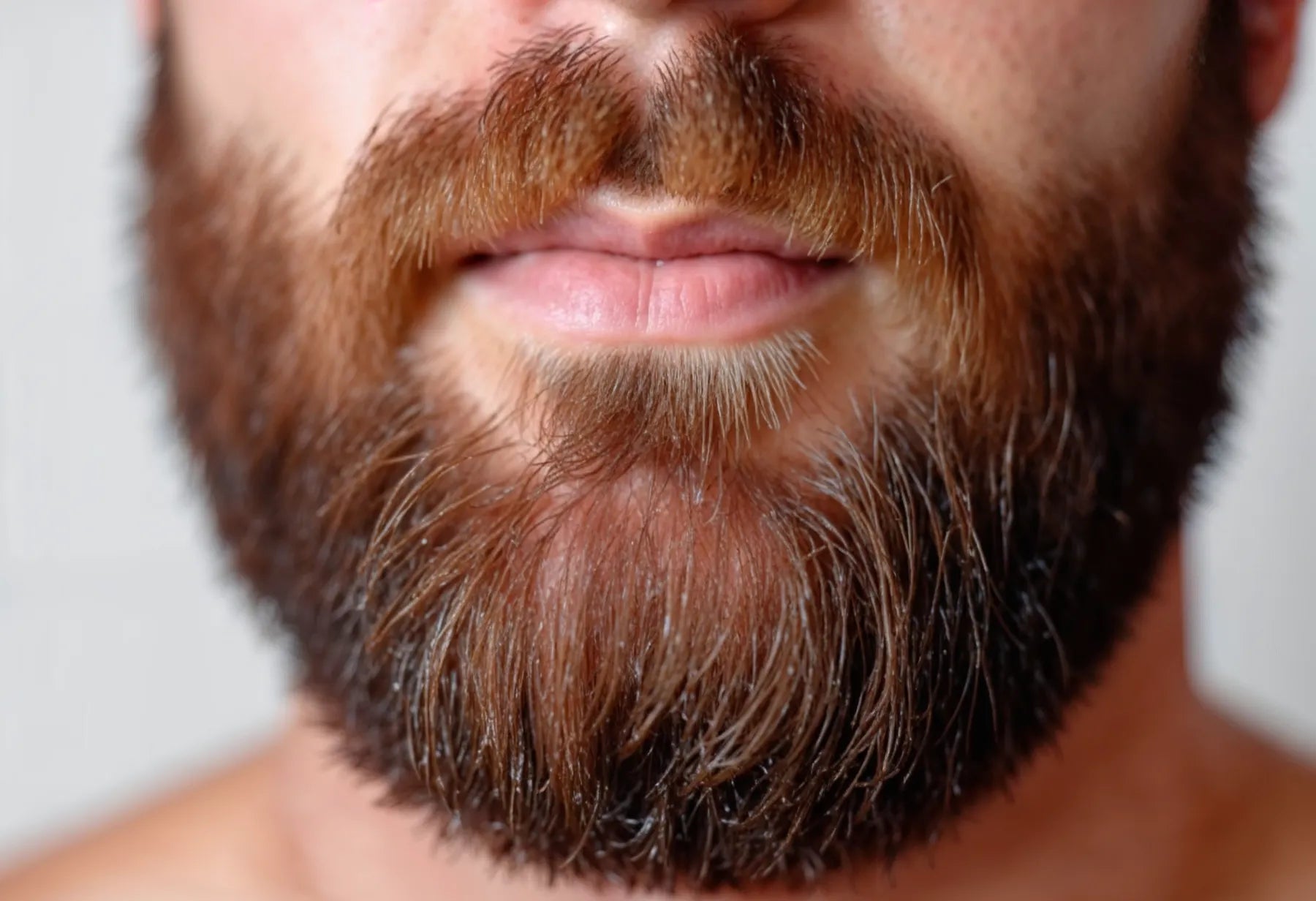 The Ultimate Guide to Beard Care: Incorporating scrub-dub® Scalp Spike
